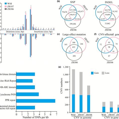 Number And Size Of Sv Types A The Number Of Different Types Of Svs