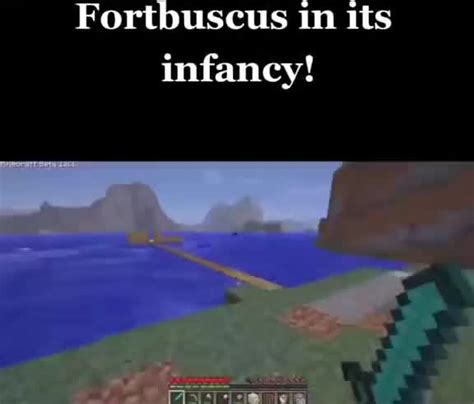 Fortbuscus In Its Infancy Meme By Ismokegkush Memedroid