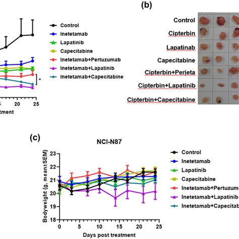 Inetetamab In Combination With Pyrotinib Plus Capecitabine Exhibited