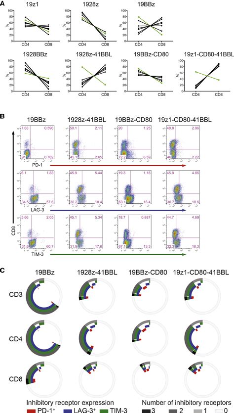 Structural Design Of Engineered Costimulation Determines Tumor