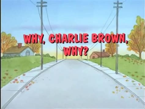 Why Charlie Brown Why 1990
