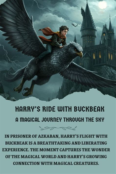 Harry Potters Breathtaking Flight On Buckbeak In Prisoner Of Azkaban