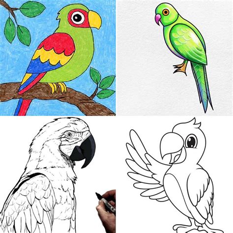 25 Easy Parrot Drawing Ideas How To Draw A Parrot