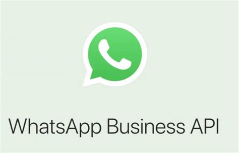 Api Whatsapp Business Guía Completa 2024 — Soy Juan Luis