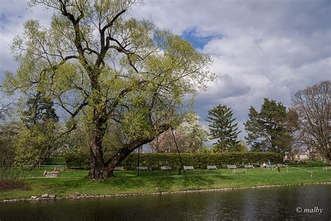 Dom Chopina W Żelazowej Woli Park Wirtualny Przewodnik Turystyczny