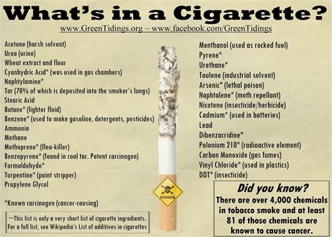 Green Tidings Whats In A Cigarette