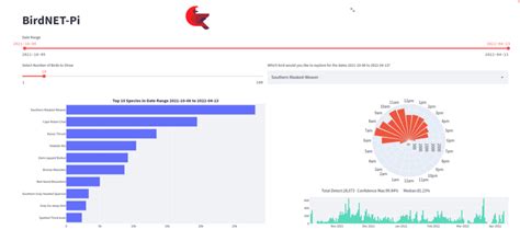 Fun Raspberry Pi Project Identify Backyard Birds Because Birds
