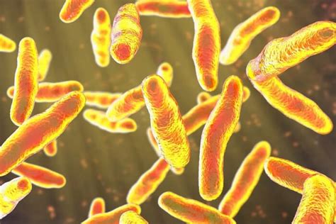 دانشمندان چینی نوار پانسمان ضدباکتری ساختند