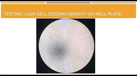 Cell Seeding Density 96 Well Plate At Amy Curley Blog