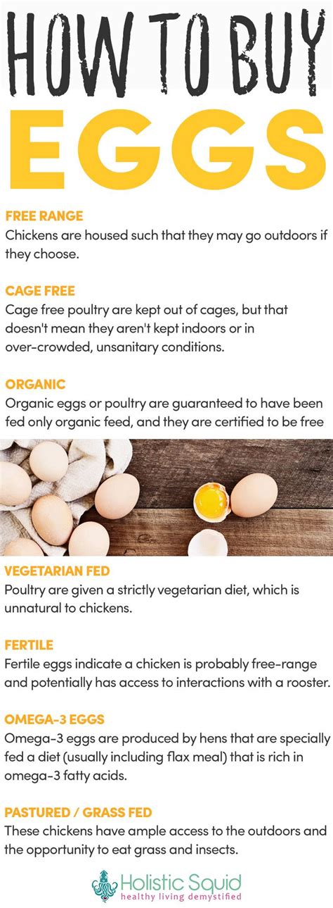 How To Buy Eggs Holistic Squid Food Sensitivities Real Food