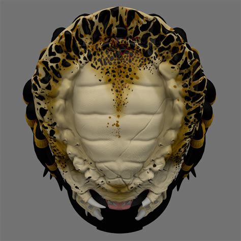 Predator Head C4d
