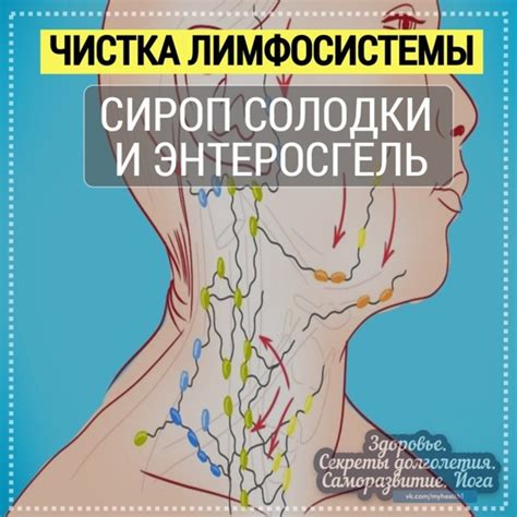 СИРОП СОЛОДКИ - ЧИСТКА ЛИМФОСИСТЕМЫ Этот сироп творит чудеса! А вот сам ...