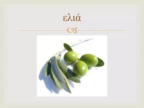 Vowels Presentation Ppt