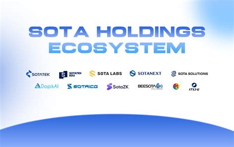 Introducing The Sota Holdings Ecosystem 2025 Global It Services And Consulting Company