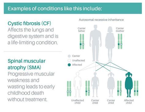 Reproductive Carrier Screening Flinders Fertility