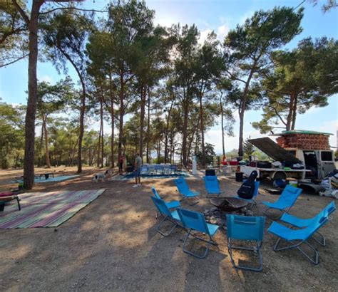 אוהל מונגולי יורט דום בישראל טיולי