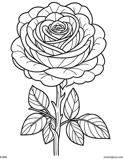 Printable Coloring Pages Of Roses Free Adult Printable Coloring Pages