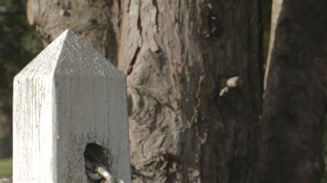 Technicolor Cinestyle Initial Tests At