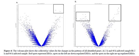 Elucidation Of Musa Acuminata Cv Berangan Root Infection By Foc Tropical Race 4 By Rna