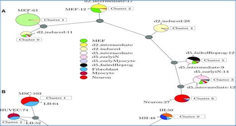 Cell Lineage Inference From SNP And ScRNA Seq Data RNA Seq Blog