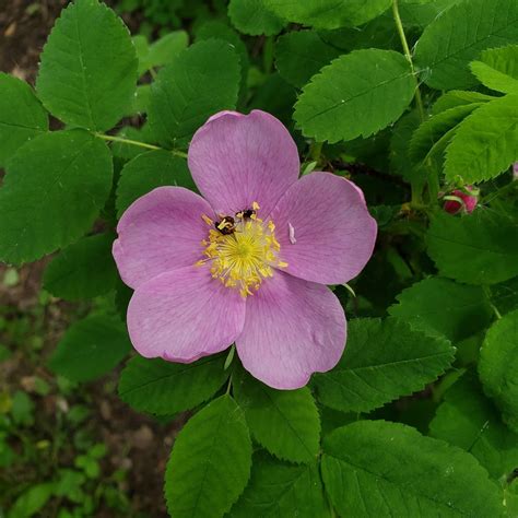 J S Java Domain J S Java Domain Added A New Photo