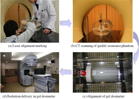 It Shows That Schematic Diagram Of Experimental Process Of Dose Download Scientific Diagram