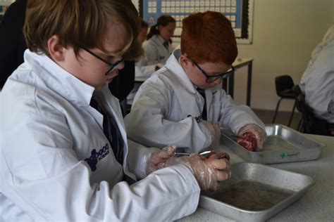 System Science Delivers Dissection Sessions To Primary Pupils Watergrove Trust Watergrove Trust