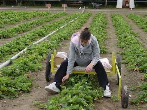 КЭБ Форум / Технологии с применением веломобилей | Garden scooters ...