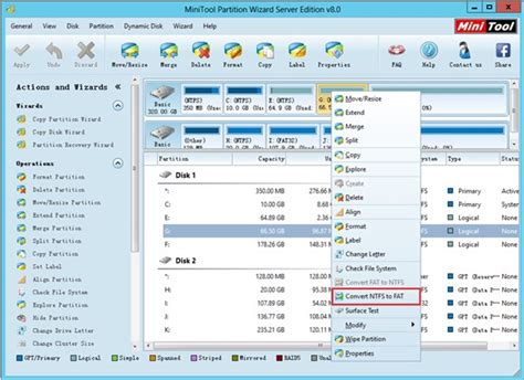 Download Professional Server Partition Manager To Convert Ntfs To Fat