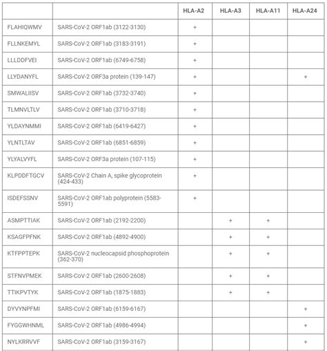 Find Human Mhc Class I Dominant Peptides Caltag Medsystems