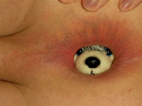 Husky Plush Takes A Trip Inside My Butt