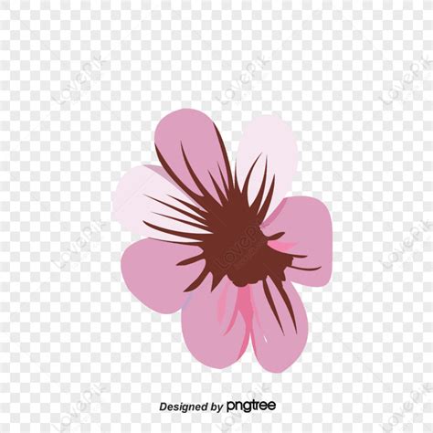 Exquisite Flower Pattern Vector Border Design Free Downloadflower