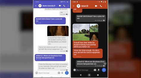 Signal A Enfin Corrig Le Bug Des Photos Envoy Es Sans Le Vouloir