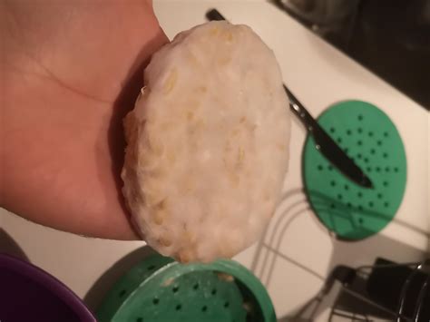 3d Printed Prototype Worked Rtempeh