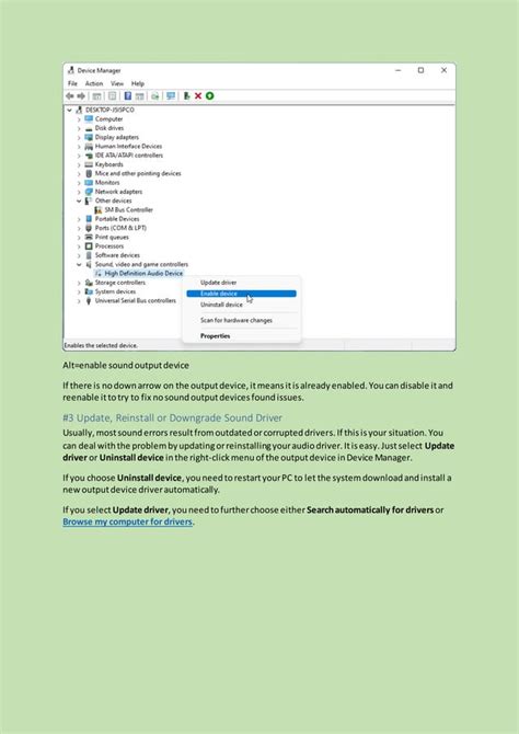 No Output Input Devices Found PDF