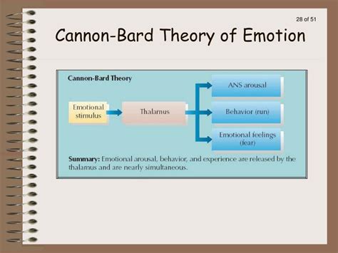 Ppt Chapter 2 Neuroscience Powerpoint Presentation Free Download