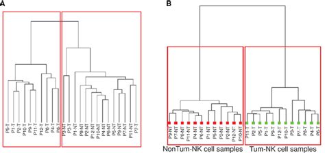 Clustering Analysis On Gene Expression A After Normalization Probes