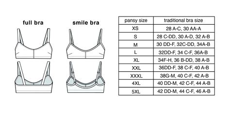 Bra Size Comparison The Ultimate Guide To 32b And 34b Bra Sizes Top
