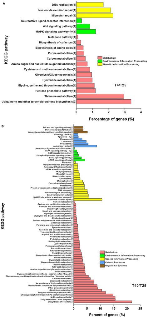 Frontiers Differential Transcriptome Analysis Reveals Genes Related