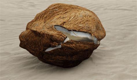 Congratulations On The Skin I Rust Coco I So Proud Of You