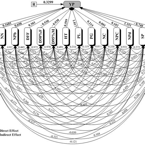 path diagram of different yield contributing characters on pod yield