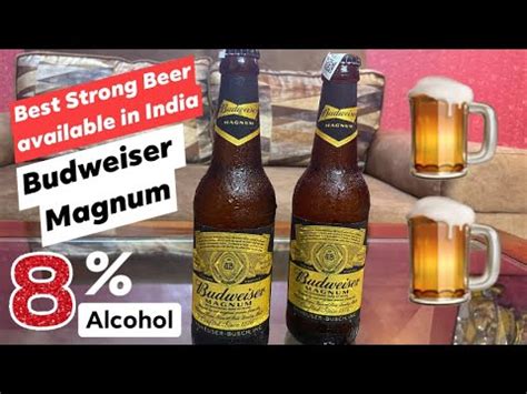 Best Strong Beer Available In India With 8 Alcohol For Just Rs 100