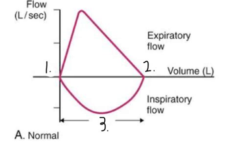 Winter 22 Resp Lecture 12 Flashcards Quizlet
