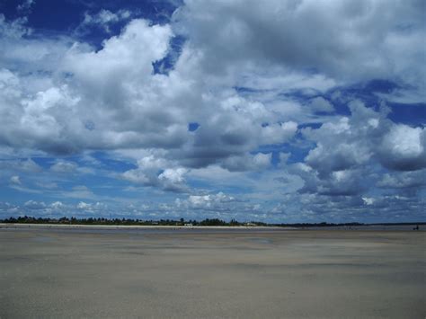 Gary Wysin Condensed Matter Physics Kansas State University