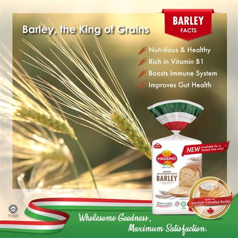 Massimo Bread Being The King Of Grains Barley Is Known Facebook