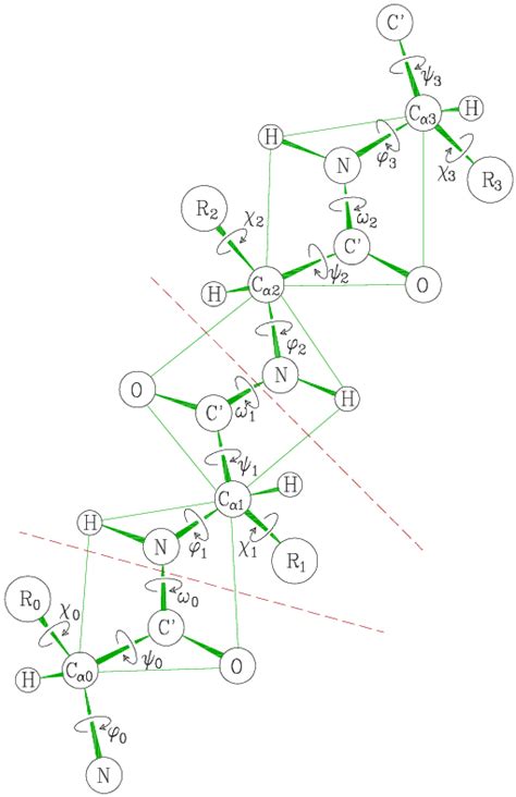 Polypeptide Definition