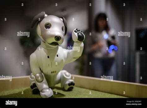 New Aibo Pet Robot Is Shown In The Sony Square Shibuya Project In Tokyo