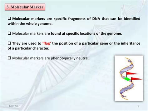 Molecular Marker And Its Applications Pptx