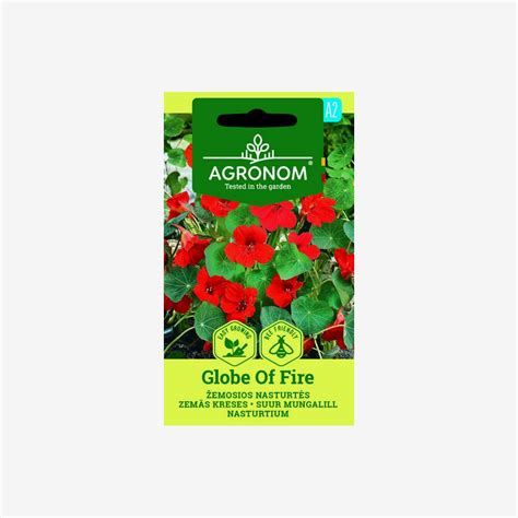 Fröer Krasse Busk Globe Of Fire