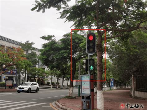 梅城一处十字路口 红灯绿灯同时亮”？原来系一场乌龙梅州市信号灯交通